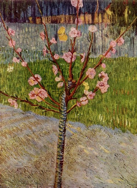 Van Gogh Almond Blossom