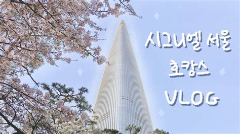 Vlog 벚꽃 핀 날 역대급 초호화 호캉스 시그니엘 서울 숙박기 ㅣ석촌호수 벚꽃ㅣ벨리곰 생일ㅣ롯데월드타워 전망 야경ㅣ럭셔리