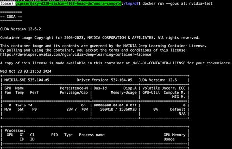 How To Use Your Gpu In A Docker Container