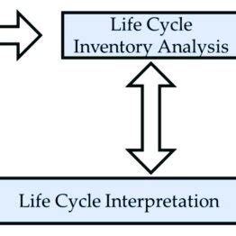 A Schematic View Of LCA Processes Download Scientific Diagram