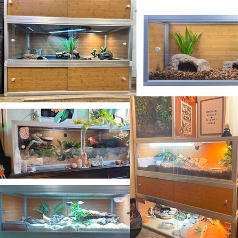 Custom Ball Python Enclosure Ubicaciondepersonascdmxgobmx