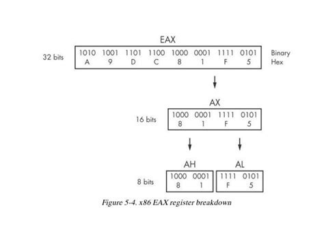 Practical Malware Analysis Ch 4 A Crash Course In X86 Disassembly