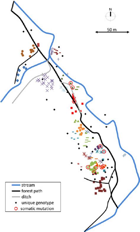 Spatial Correlograms Kinship Coefficient Values Solid Line F Ij