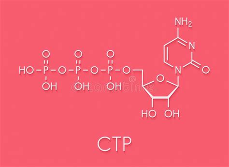 Cytidine Triphosphate Ctp Rna Building Block Molecule Also Functions As Cofactor To Some