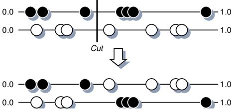One Point Crossover On Linear Genomes With An Arbitrary Number Of Download Scientific Diagram