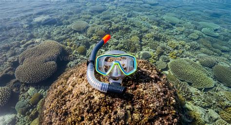 Tropical Beach Travel Concept With Snorkel Reef And Coral 71074763