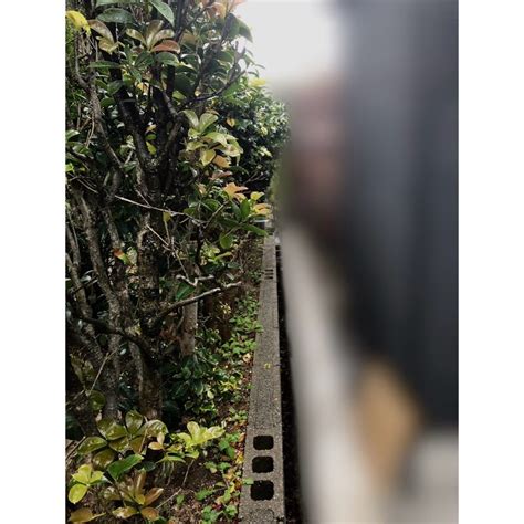 【名古屋市】フェンスab Yl3型 シャイングレー色 一戸建て 目隠し対策｜lixilリフォームネット｜リフォーム事例