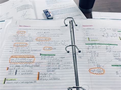 The Daily Life Of An Egg