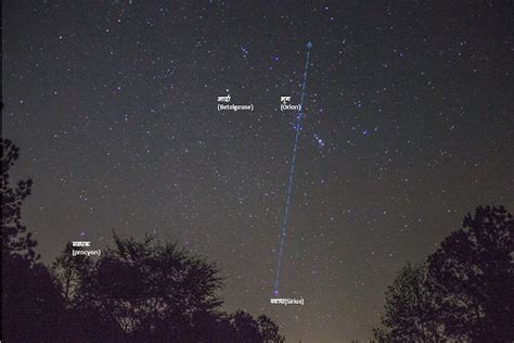 पुणेरी मिसळ