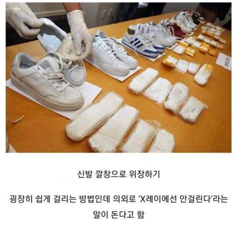 기상천외 마약 밀반입 수법