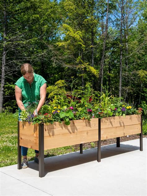 Organic Cedar Planter Boxes