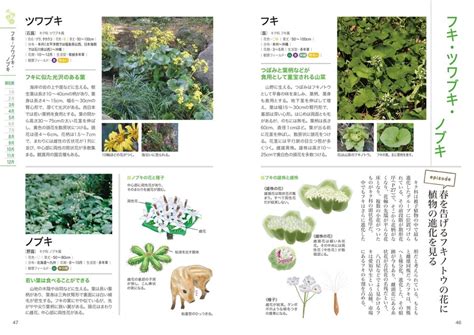 成美堂出版 里山さんぽ植物図鑑
