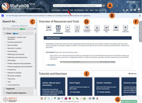 Veupathdb Redesigned Homepage A The Banner Section Is Present On All Download Scientific