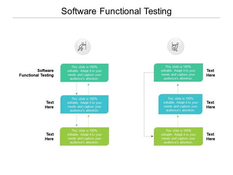 Software Functional Testing Ppt Powerpoint Presentation Icon Designs