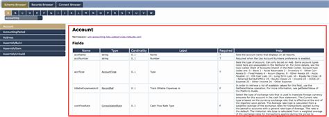 Netsuite Schema Browser Guide To Features And Benefits Seller Universe