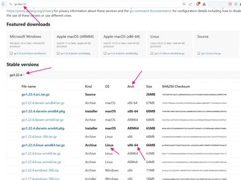 Install Golang On Linux Selftuts