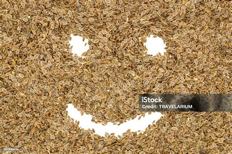 딜 씨 재미 있는 미소 얼굴 클로즈업 매크로 연간 회 향 허브 또는 절 임 요리에 향신료로 사용 Generic에 대한 스톡 사진 및 기타 이미지 Istock