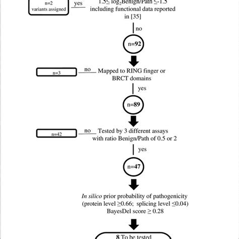 Functional Evaluation Of Brca1 Variants By Gfp Reassembly In Vitro Download Scientific Diagram