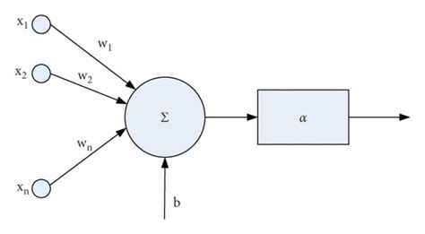 Schematic Diagram Of The Neuron Perceptron Model Download Scientific Diagram