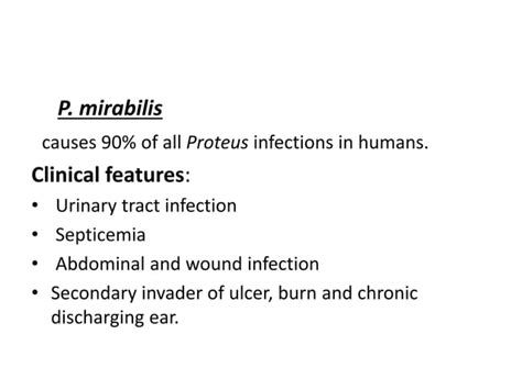 Proteus Spp Lecture Pptx