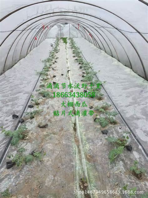 输水带 农田灌溉管 喷灌带 大棚滴灌 小白龙 软管软带莱芜滴灌 阿里巴巴