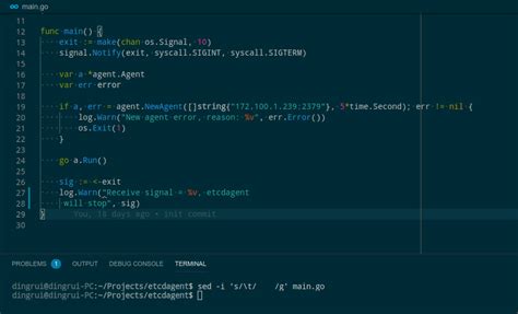 auto convert 4 spaces to tab when press ctrl s · issue 2871 · microsoft vscode go · github