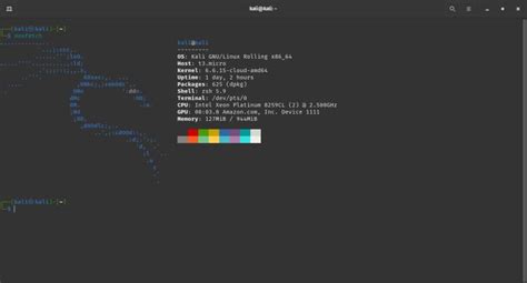 Tomiwa Falade On Linkedin Cybersecurity Cloudsecurity Kalilinux Aws
