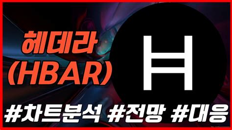 헤데라 추가적인 상승 가능성 Youtube