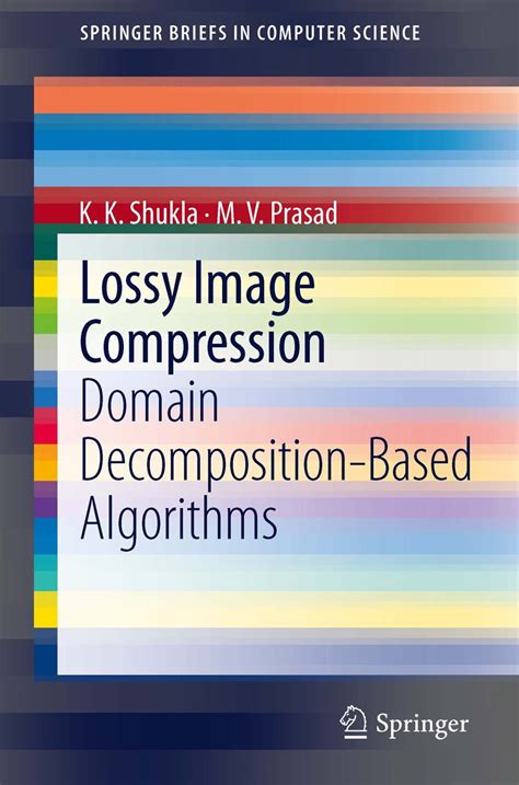 Lossy Image Compression Domain Decomposition Based Algorithms Springerbriefs In Computer