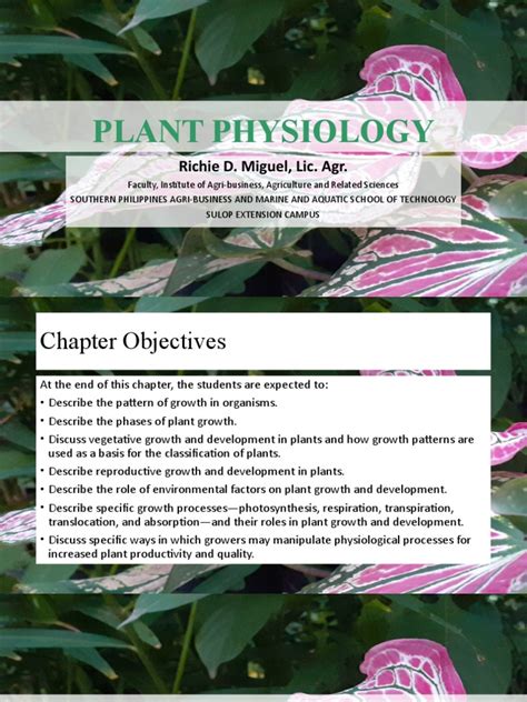 Plant Physiology Pdf Cellular Respiration Photosynthesis
