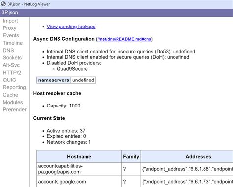 Chromiums DNS Cache Text Plain
