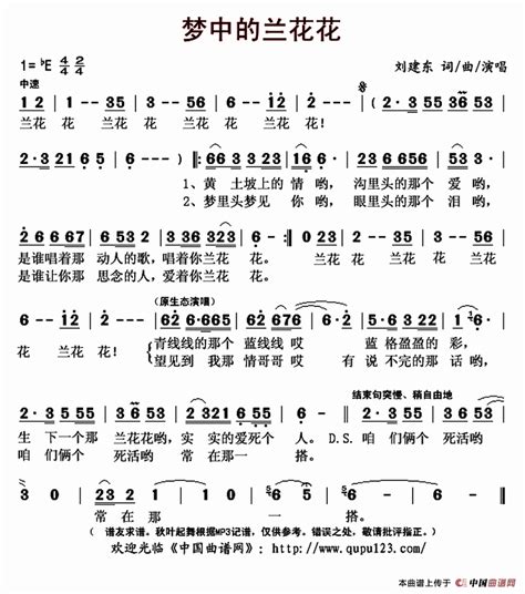 梦中的兰花花