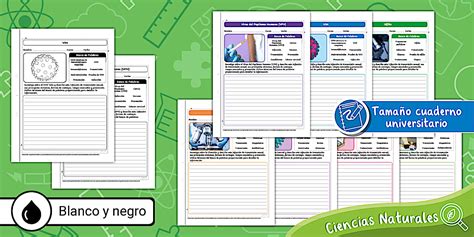 Its Infecciones De Transmisión Sexual Educación Sexual