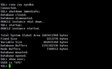 Docker 14：docker安装oracle11g 阿里云开发者社区
