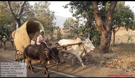 Shubham Gurav On Linkedin चिखलदरा मधील आदिवासी आणि वातावरण बदल