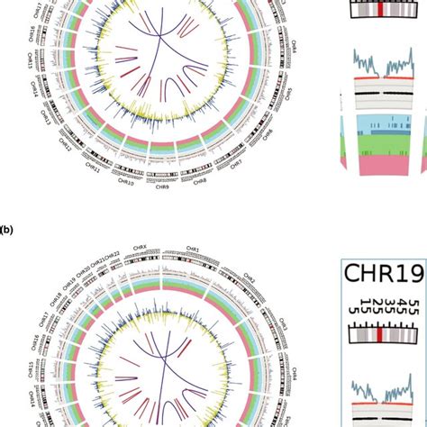 A Genomic Deletion In Chromosome 19 Was Detected In Two Hcm Patients