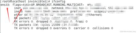 在Linux系统中web服务的访问测试 如何测试使得外界能够访问本主机的web服务 CSDN博客