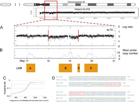 Detection And Analysis Of A Large Deletion In Chromosome 22q11 Of