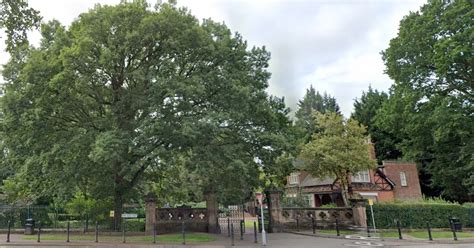 Wolverhampton Council Will Double The Size Of Its Tree Inspection Team Birmingham Live