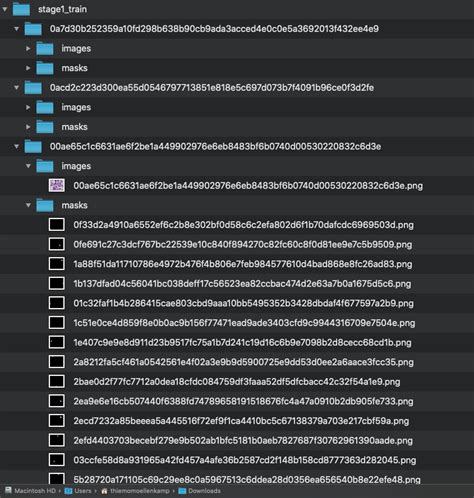 Stardist Structure Of Data Science Bowl Data Does Not Match The One Required For Training A