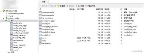 Nacos集群和持久化配置（重要）nacos 集群 必须配置数据库 Csdn博客