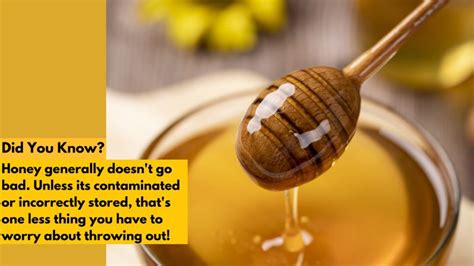 Runner Edq On Linkedin Funfact Fact Didyouknow Honey