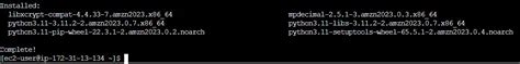 How To Install Python On Amazon Linux 2023 Cloudkatha