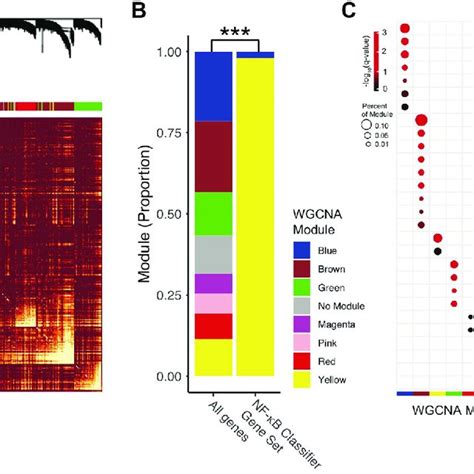 characterization of the nf κb activity classifier genes with weighted