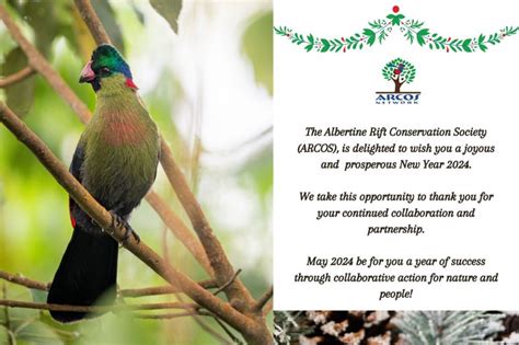 Jeanpaul Nsabimana Posted On Linkedin