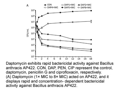美国apexbio中文官网 Daptomycin Calcium Dependent Antibiotic Cas 103060 53 3