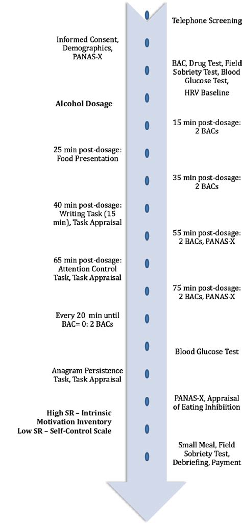 Visual Timeline Of The Experiment Download Scientific Diagram