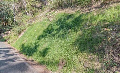 Hydromulch Iscouncil