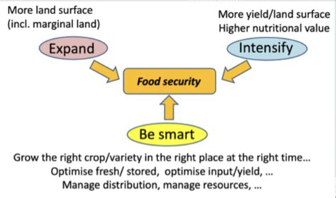 Crop Improvement Flashcards Quizlet