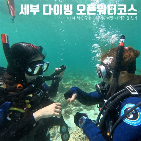 세부여행 스쿠버다이빙 비용 및 오픈워터자격증 취득 후기 네이버 블로그